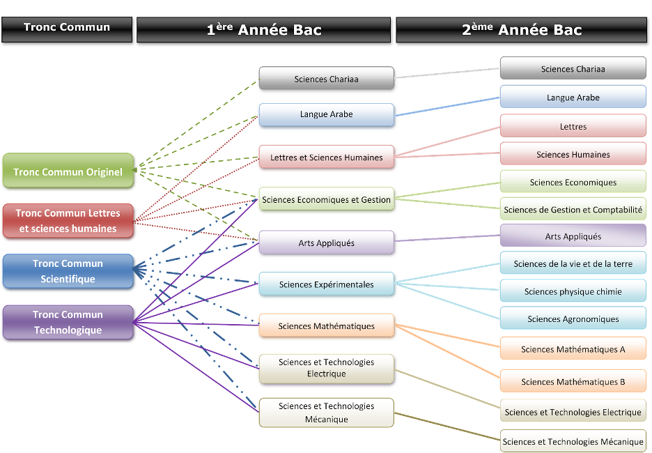 BAC 2022 : quelles spécialités choisir pour quelles études supérieures